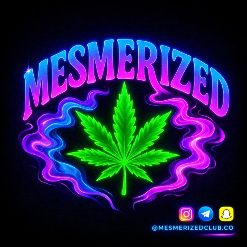 MESMERIZEDCLUB.CO🌳 (@mesmerizedclub) | Snapchat Stories, Spotlight & Lenses