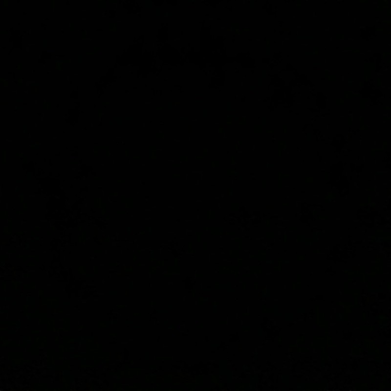 BJALIN 𓃭 (@a.bjalin) | Snapchat Stories, Spotlight & Lenses