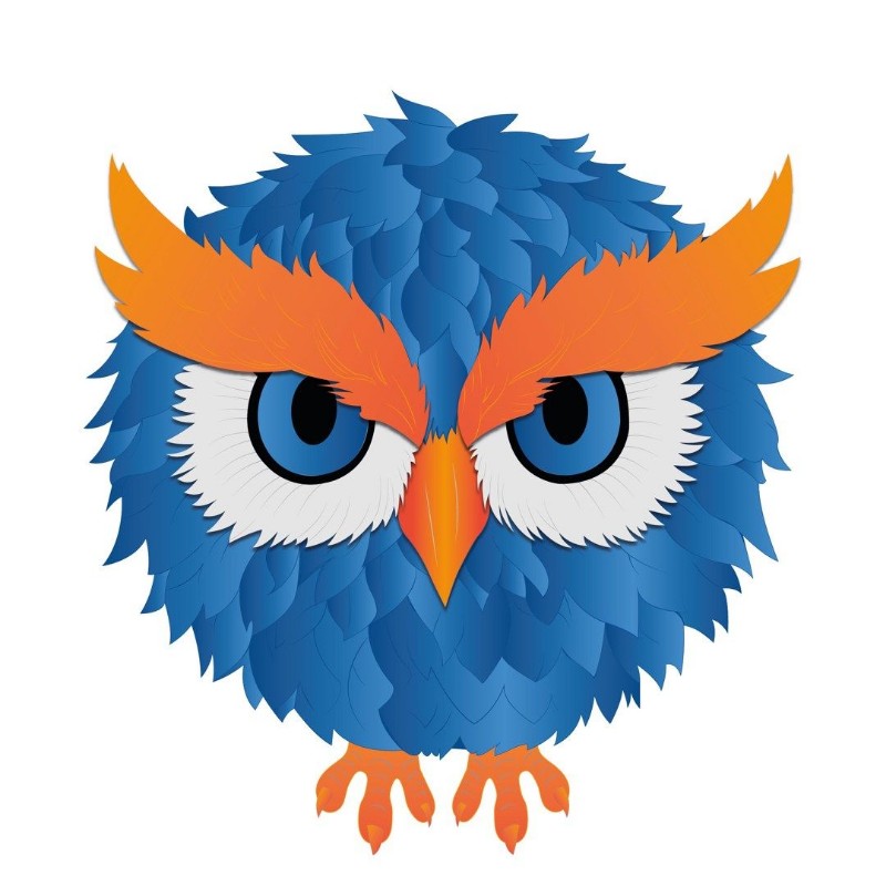 A2Z Orders (@a2z_orders) | Snapchat Stories, Spotlight & Lenses