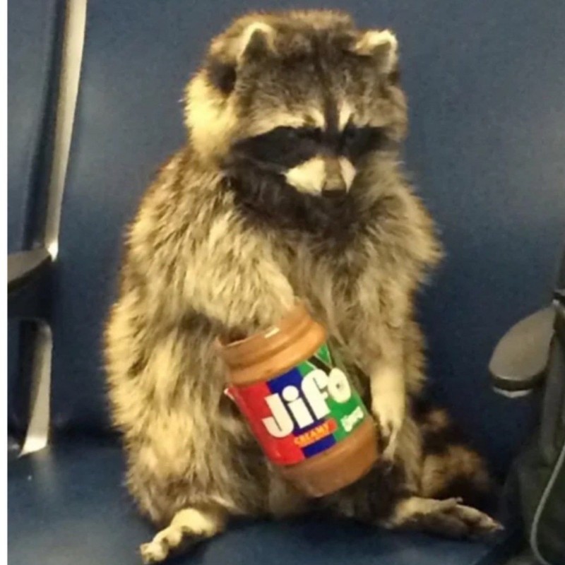 anastacia ;)(@a_vunic) | เรื่องราว Snapchat ตลอดจน Spotlight และเลนส์