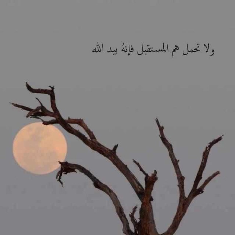 الاحساس نعمه (@aaaa505) | Snapchat Stories, Spotlight & Lenses