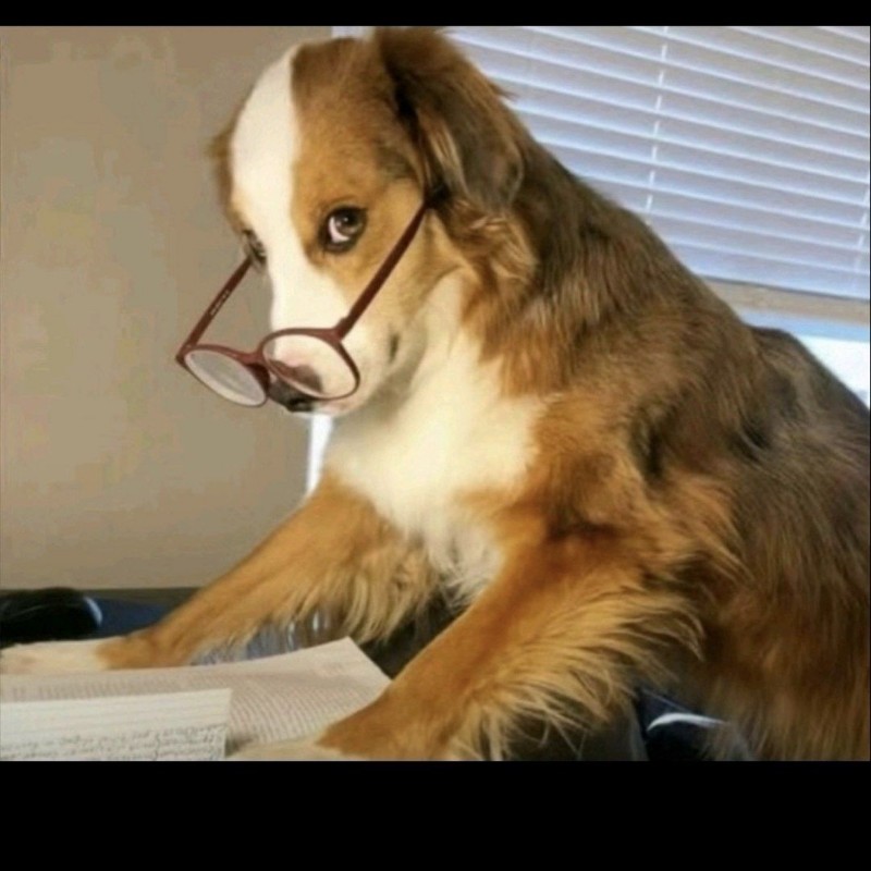 Aaron McCabe (@aarontmccabe3) | Snapchat Stories, Spotlight & Lenses