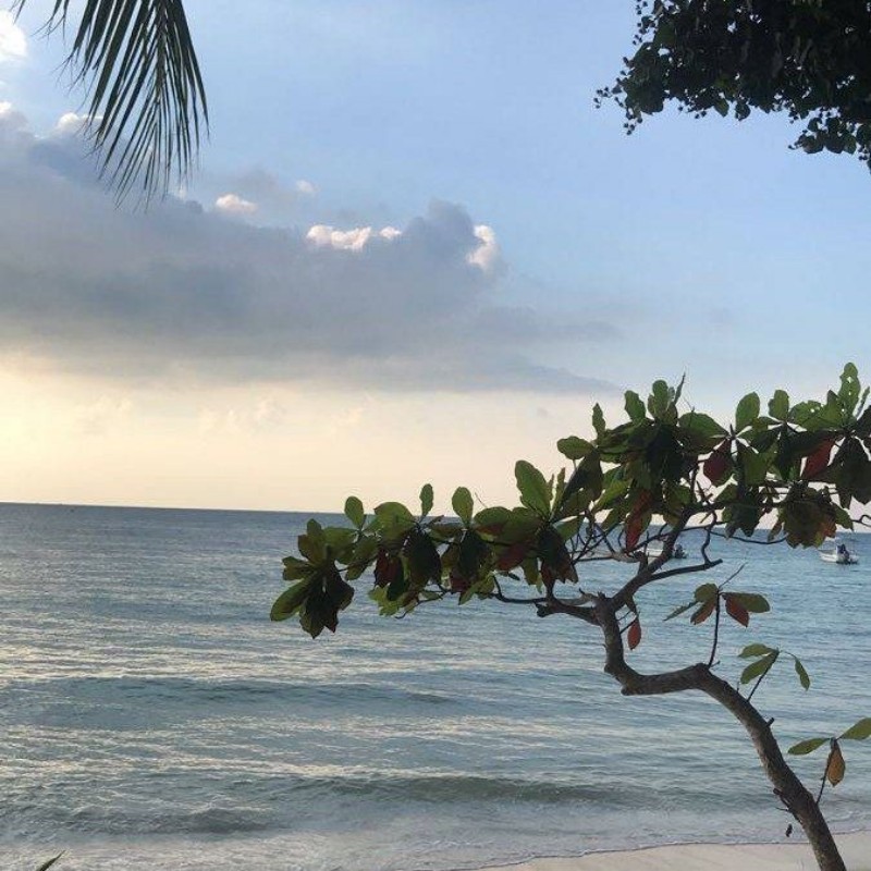 abdaltefalewan (@abdo243140) | Snapchat Stories, Spotlight & Lenses