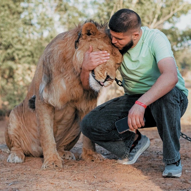 عبدو الصفرا 🇱🇾 (@abdo_as3778) | Snapchat Stories, Spotlight & Lenses