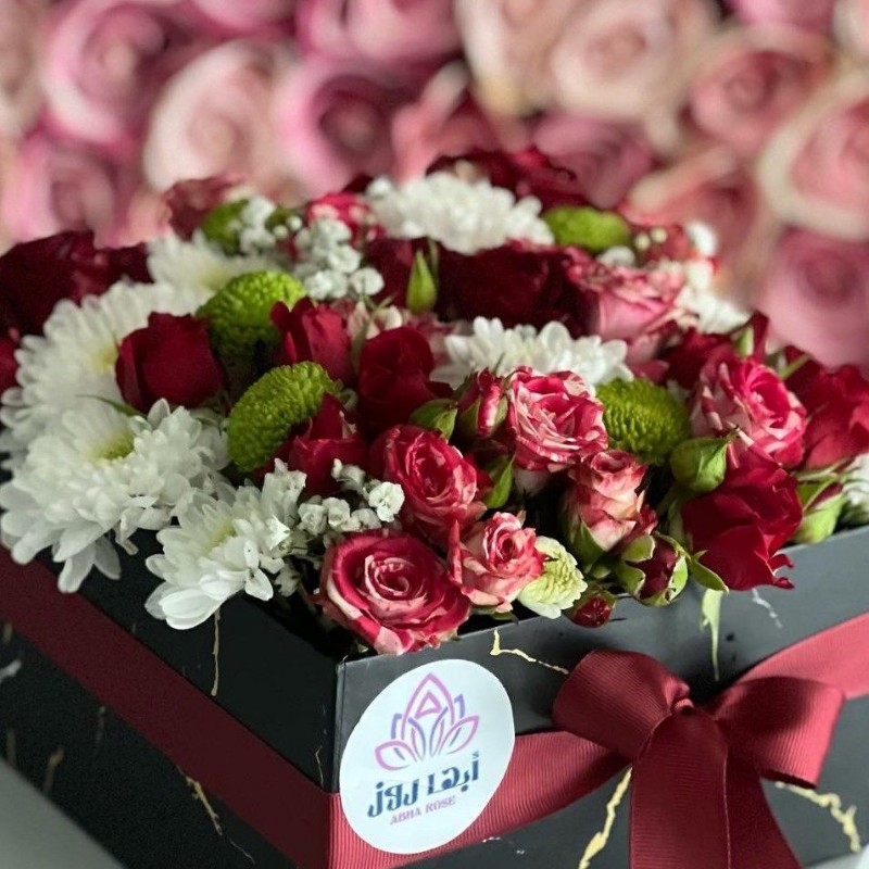 Rose🕊 (@abha_rose1) | Snapchat Stories, Spotlight & Lenses