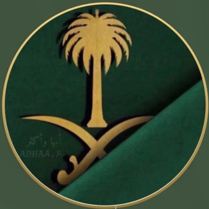 مــشـبـب بــن مـحـمــد | 🇸🇦 (@abhaa.r) | Snapchat Stories, Spotlight ...