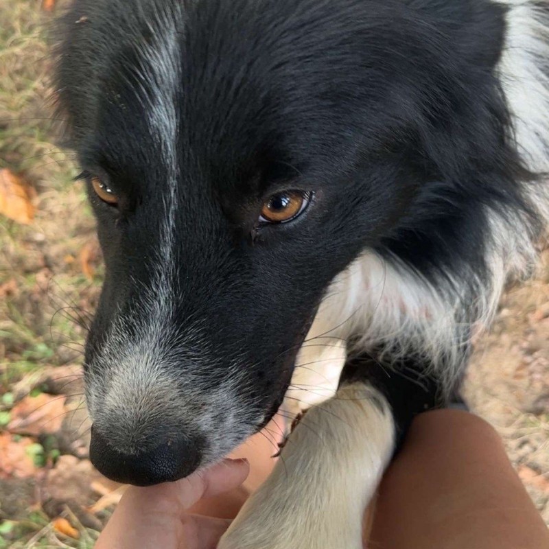 🎀🫶🏻~Addison~🫶🏻🎀 (@addisonhack24) | Snapchat Stories, Spotlight & Lenses