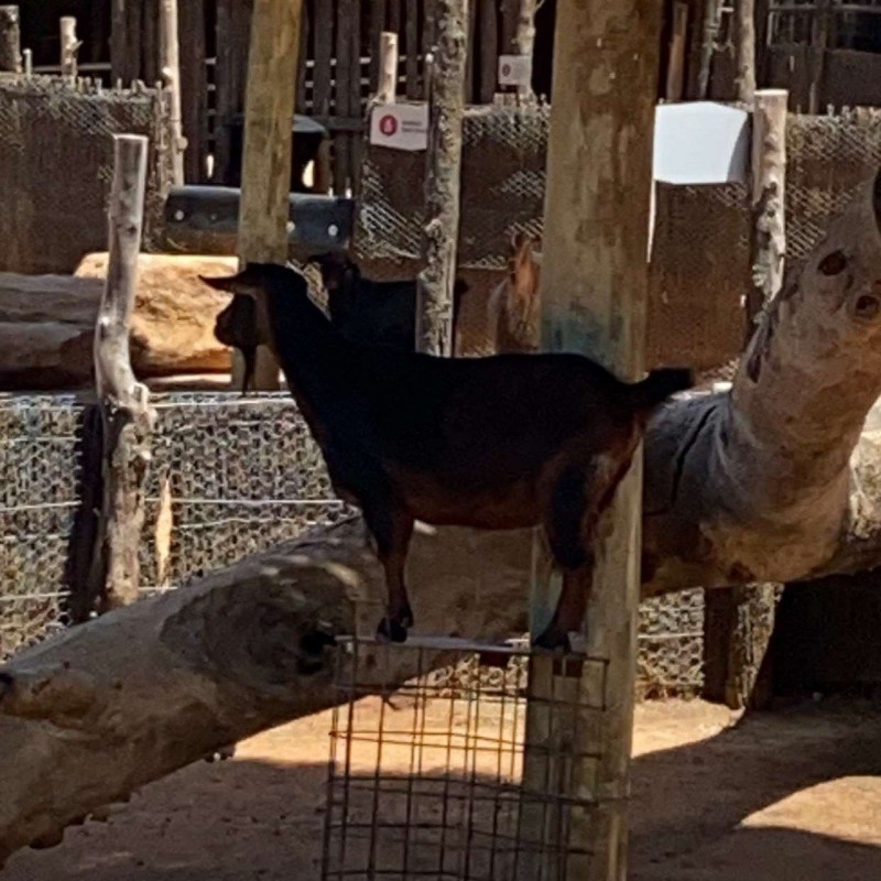 Adrian Brown Adrian Brown10 Snapchat Stories Spotlight Lenses