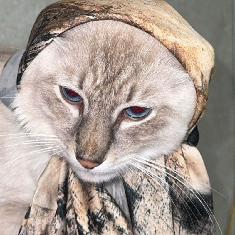 Safa 🧜🏼‍♀️ (@afa_angel) | Snapchat Stories, Spotlight & Lenses