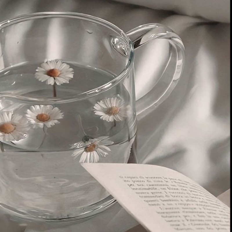 Afrah . (@afrah.v1) | Snapchat Stories, Spotlight & Lenses