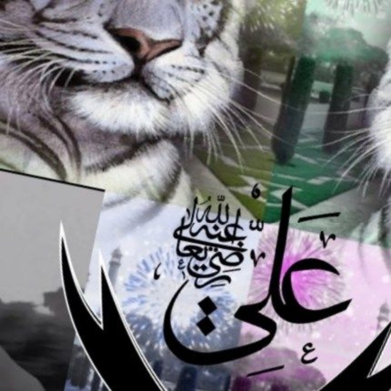 Afzal-tiger (@afzal-tiger25) | Snapchat Stories, Spotlight & Lenses