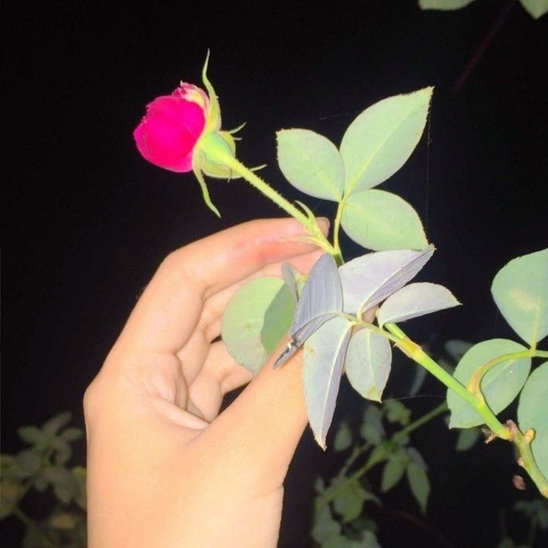 A♡ (@aima_shk12) | Snapchat Stories, Spotlight and Lenses