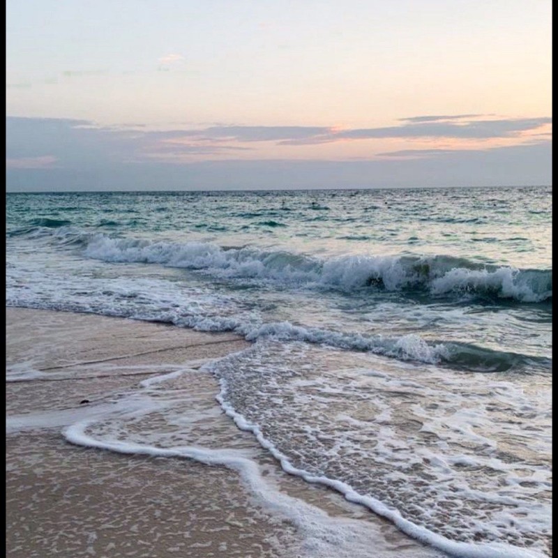 هدوء🌿 (@al-m780) | Snapchat Stories, Spotlight & Lenses