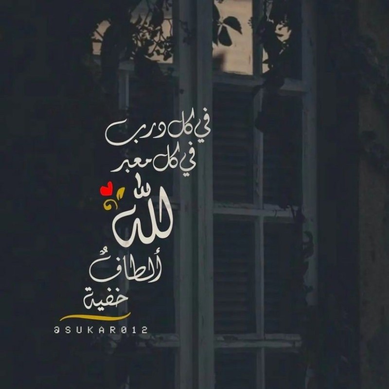 الجمال البرازيلى 🇰🇼 (@al_brazil) | Snapchat Stories, Spotlight & Lenses