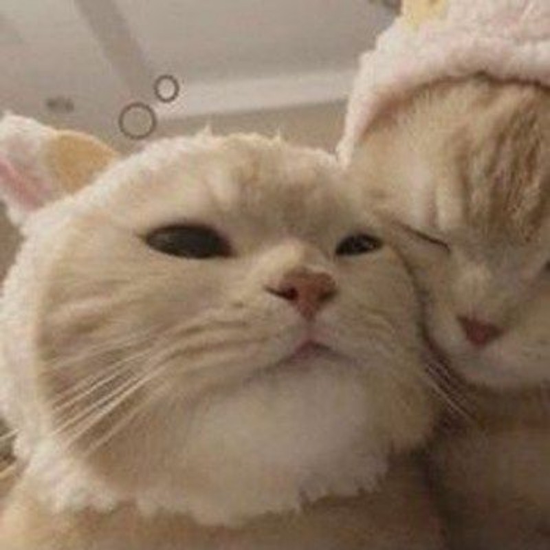 Alejandra ⋆ (@alejandra-xun) | Snapchat Stories, Spotlight & Lenses