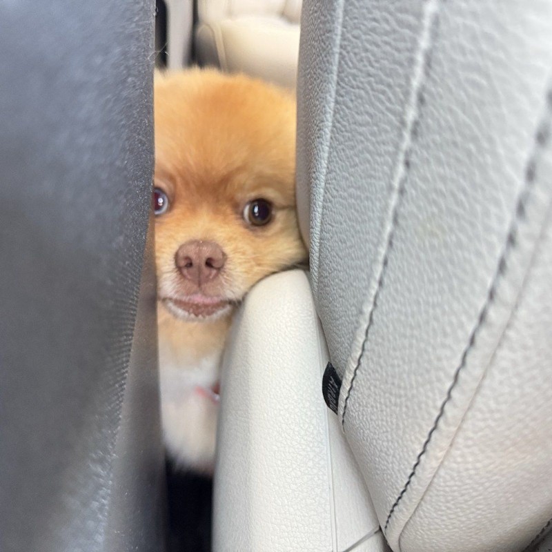 Alejandra Vanoy (@alejandra_vanoy) | Snapchat Stories, Spotlight & Lenses