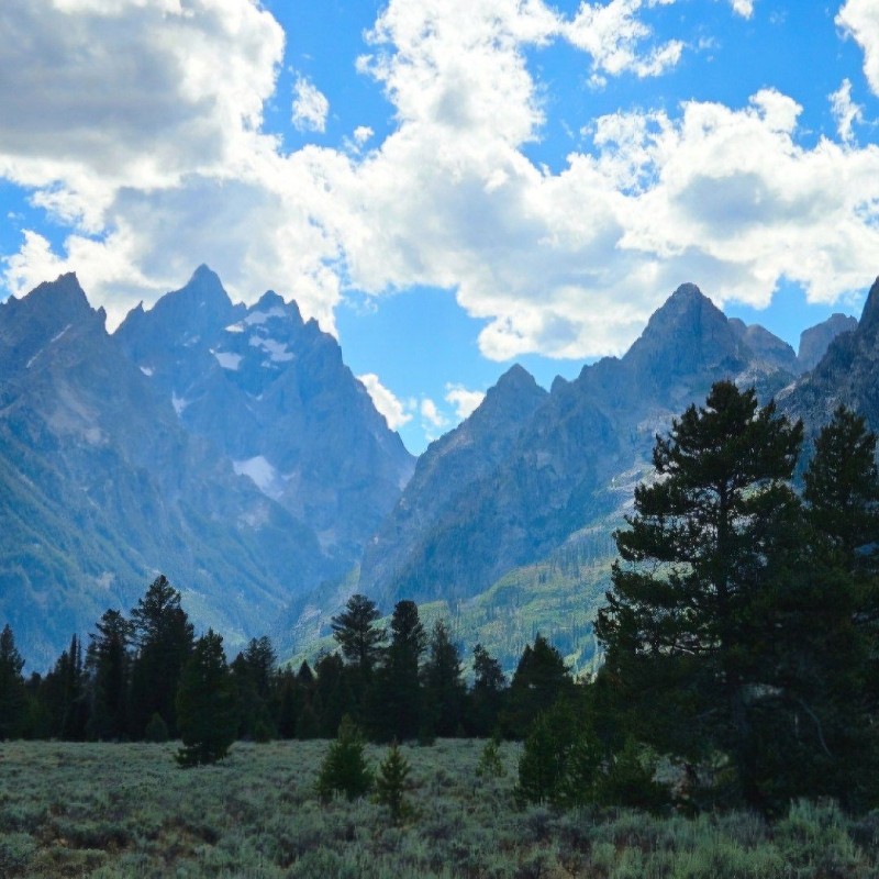 🇺🇲🏞Alex T. Wolf🏞🇺🇲 (@alex_wolfatw) | Snapchat Stories, Spotlight & Lenses