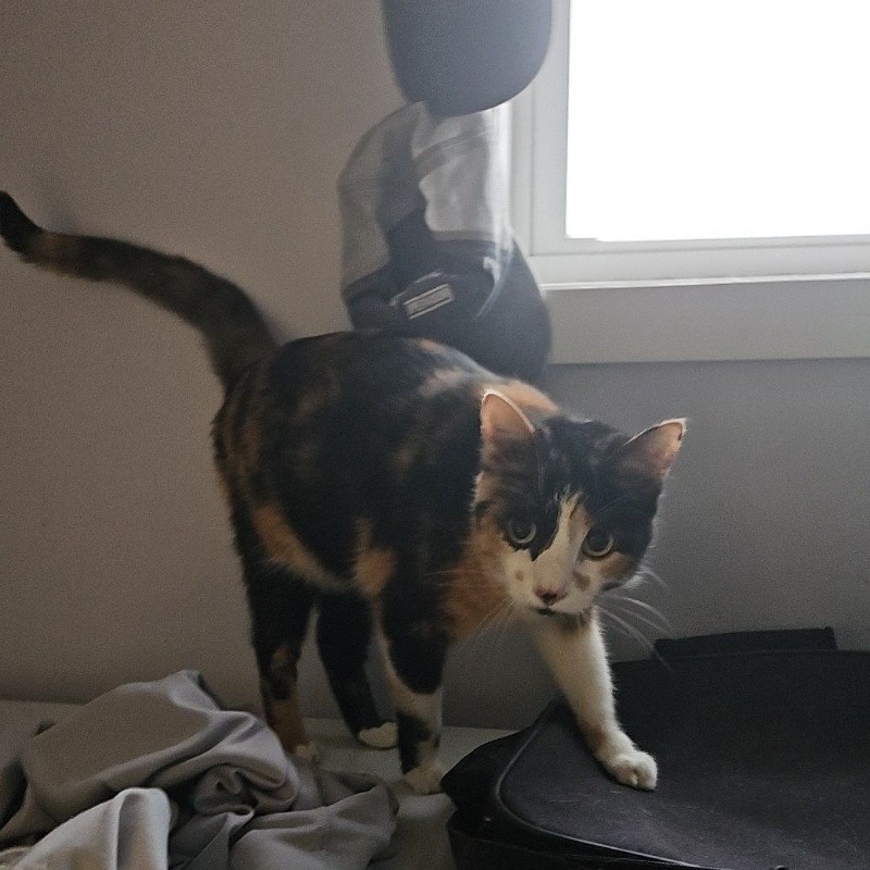 alexis evans (@alexis_evan2025) | Snapchat Stories, Spotlight & Lenses