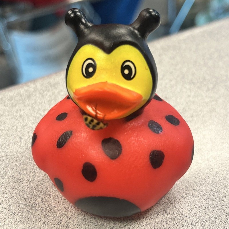 Alexis ☮️🐞 (@alexisbunch21) | Snapchat Stories, Spotlight & Lenses