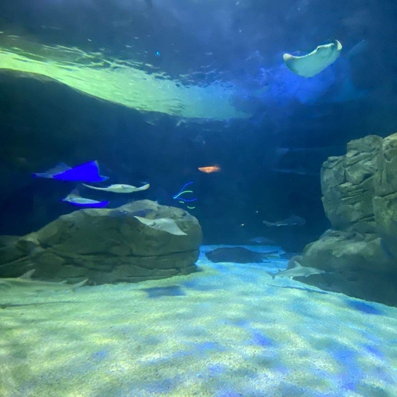 Alice (@alice20231857) | Snapchat Stories, Spotlight & Lenses