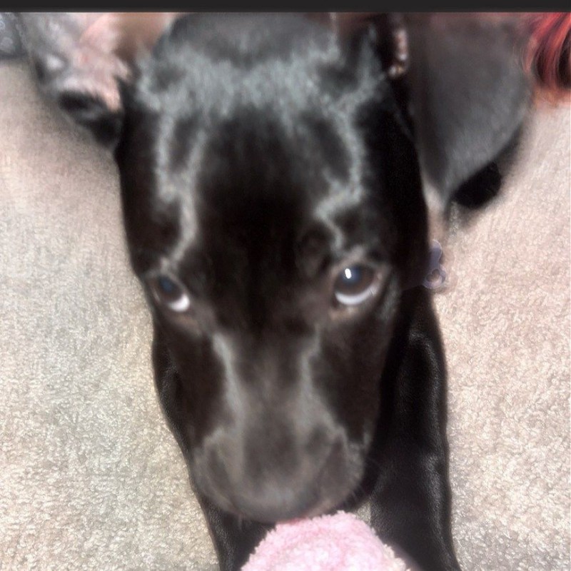 Alice 💖 🏻😜 (@alice_slaysss) | Snapchat Stories, Spotlight & Lenses