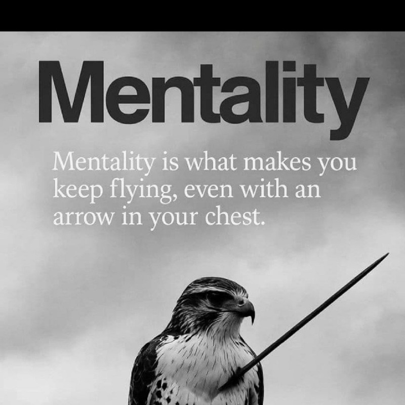 Ali Jee (@alijee67) | Snapchat Stories, Spotlight & Lenses