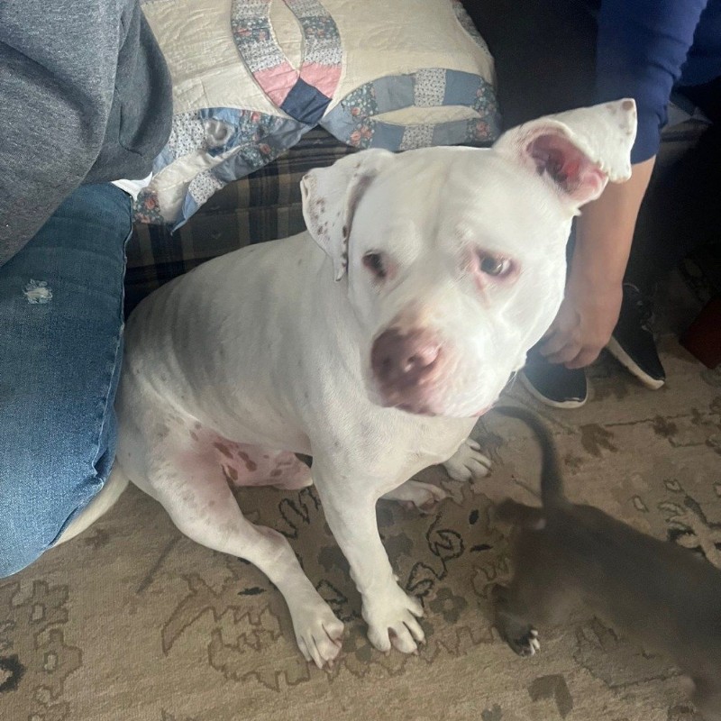 al 🩷 (@allison-blair) | Snapchat Stories, Spotlight & Lenses