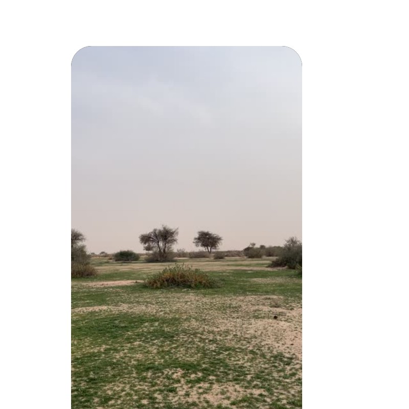 الشيف بندر (@alshreef_b) | Snapchat Stories, Spotlight & Lenses