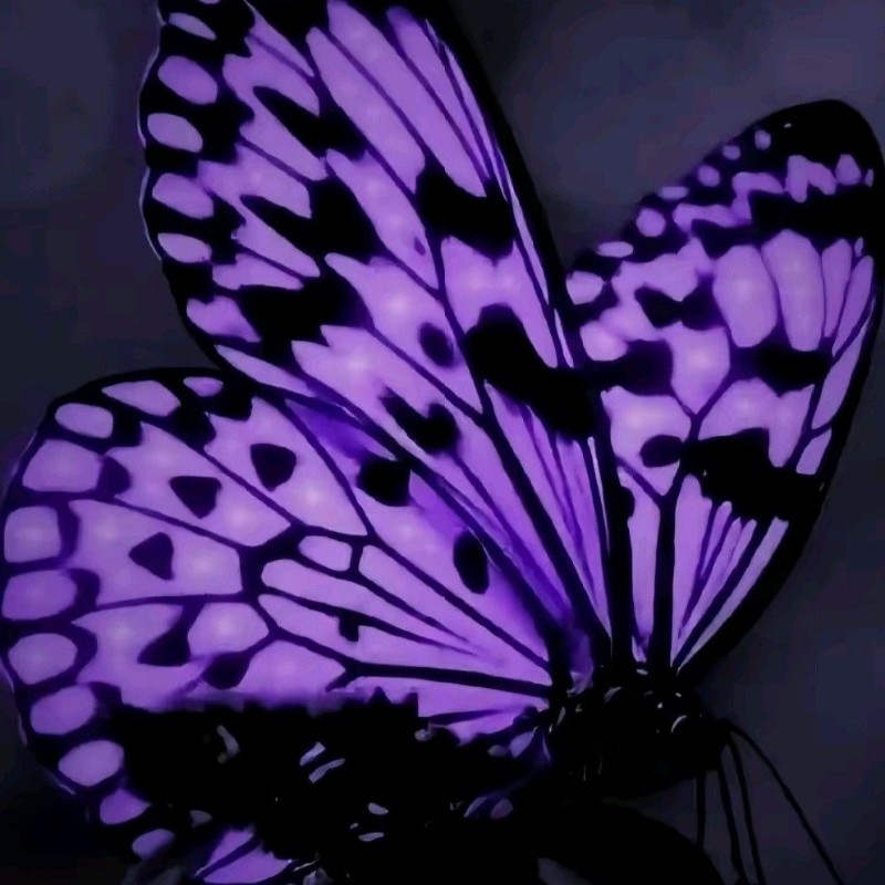 Amber (@amber13613) | Snapchat Stories, Spotlight & Lenses