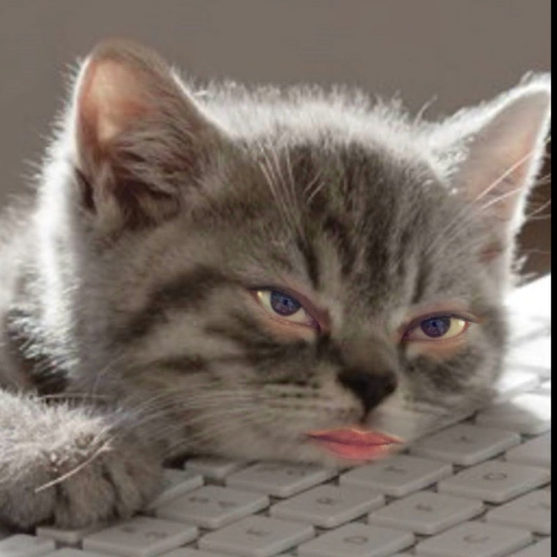 Mirro H 🇮🇩 (@amirabilq) | Snapchat Stories, Spotlight & Lenses