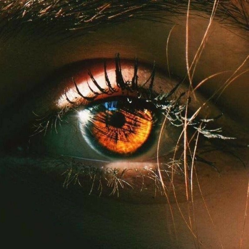 Amool (@amool-22) | Snapchat Stories, Spotlight & Lenses