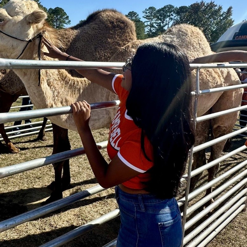 amy b 🦋 (@amyxbeltran) | Snapchat Stories, Spotlight & Lenses