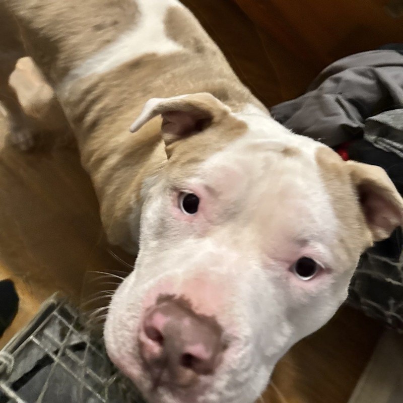 Andrew💜 (@andrew_4600) | Snapchat Stories, Spotlight & Lenses