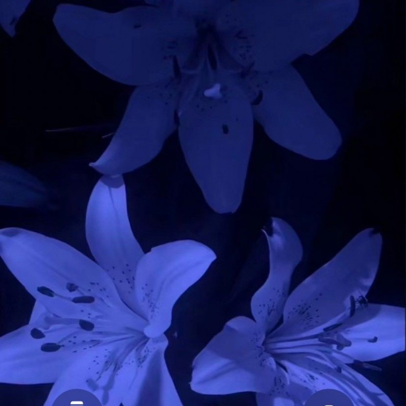 Angel💋 (@angel_ferguson0) | Snapchat Stories, Spotlight & Lenses