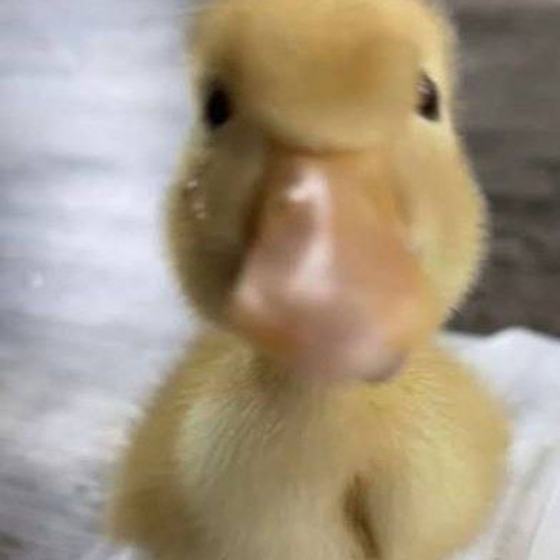 angelinaa🎧💝🐥 (@angelinabalinaa) | Snapchat Stories, Spotlight & Lenses