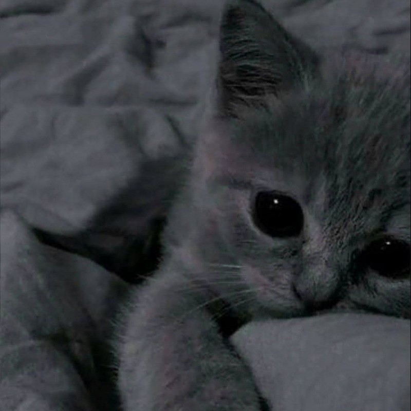 Tanu (@angry2273) | Snapchat Stories, Spotlight & Lenses