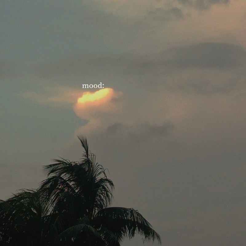 Anika Khan (@anikakhan_106) | Snapchat Stories, Spotlight & Lenses