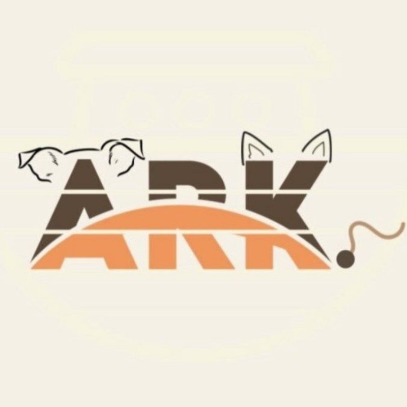 Animal Ark (@animal.ark) | Snapchat Stories, Spotlight & Lenses