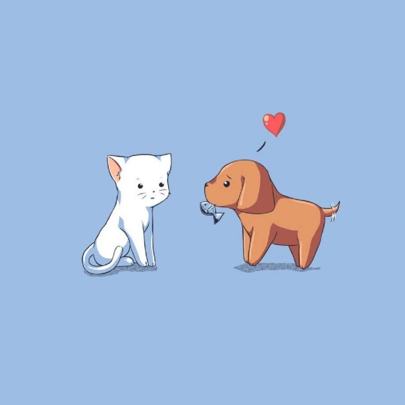 animal (@animal_world788) | Snapchat Stories, Spotlight & Lenses