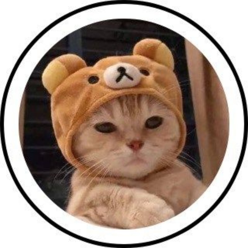 Animal Hub (@animalhub2025) | Snapchat Stories, Spotlight & Lenses