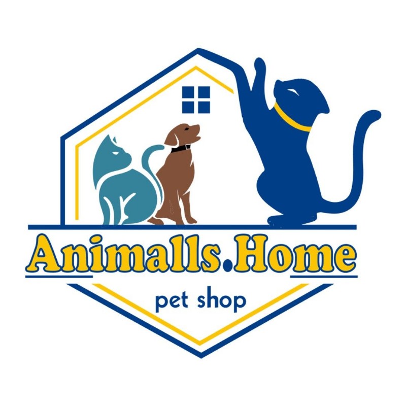 🔶Animals Home🔶 (@animalls.home) | Snapchat Stories, Spotlight & Lenses