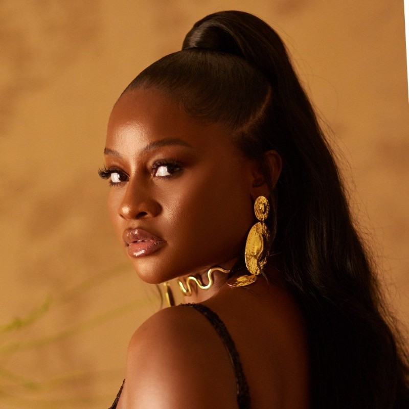 Anita “Brows” Adetoye 💄 (@anitabrows) | Snapchat Stories, Spotlight ...