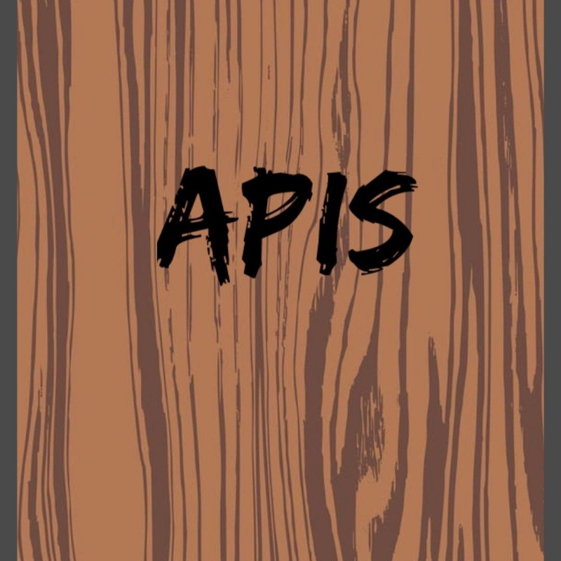 Apis🐝 (@apis.off) | Snapchat Stories, Spotlight & Lenses