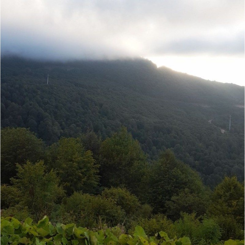 aref_m (@aref-md) | Snapchat Stories, Spotlight & Lenses