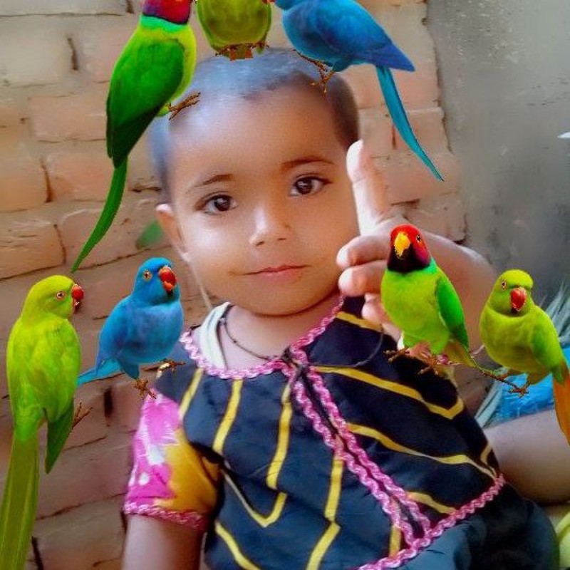 Arshad (@arshad243798) | Snapchat Stories, Spotlight & Lenses