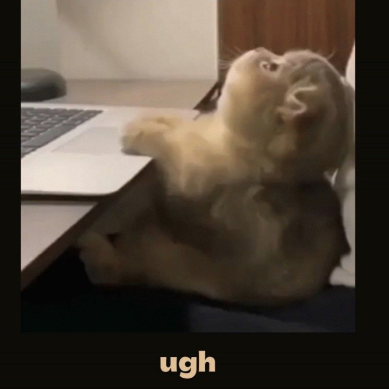 ashi (@ashi_ch658) | Snapchat Stories, Spotlight & Lenses