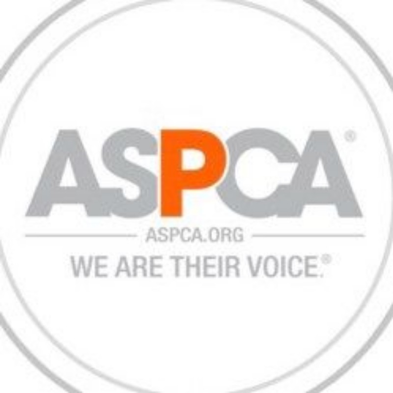 ASPCA (@aspca) | Snapchat Stories, Spotlight & Lenses