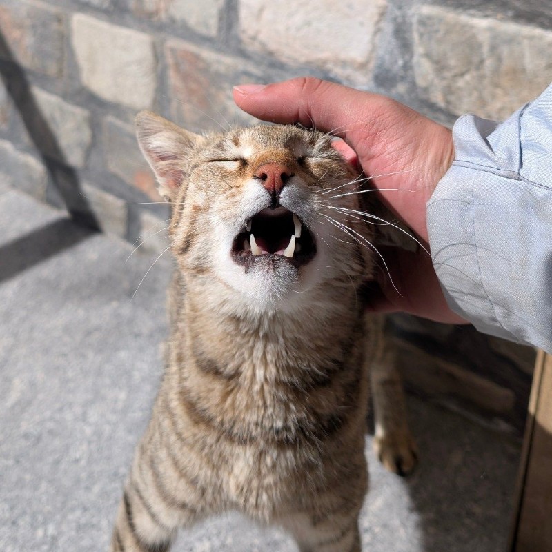 Parzi (@astro_e0) | Snapchat Stories, Spotlight & Lenses