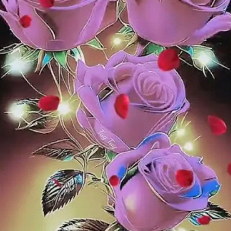 Arvind Vasava (@avasava4246) | Snapchat Stories, Spotlight & Lenses