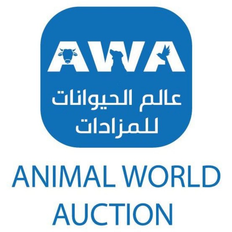 Animal World Auction (@awa-snap) | Snapchat Stories, Spotlight & Lenses